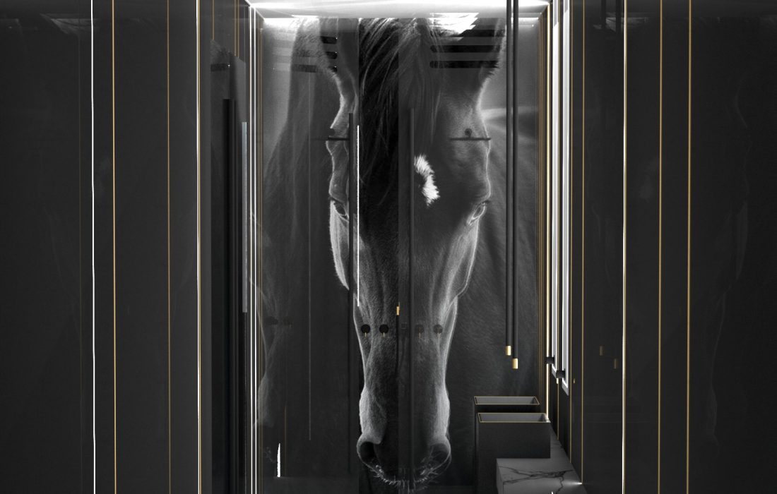 arcdb • חיים במקלחת